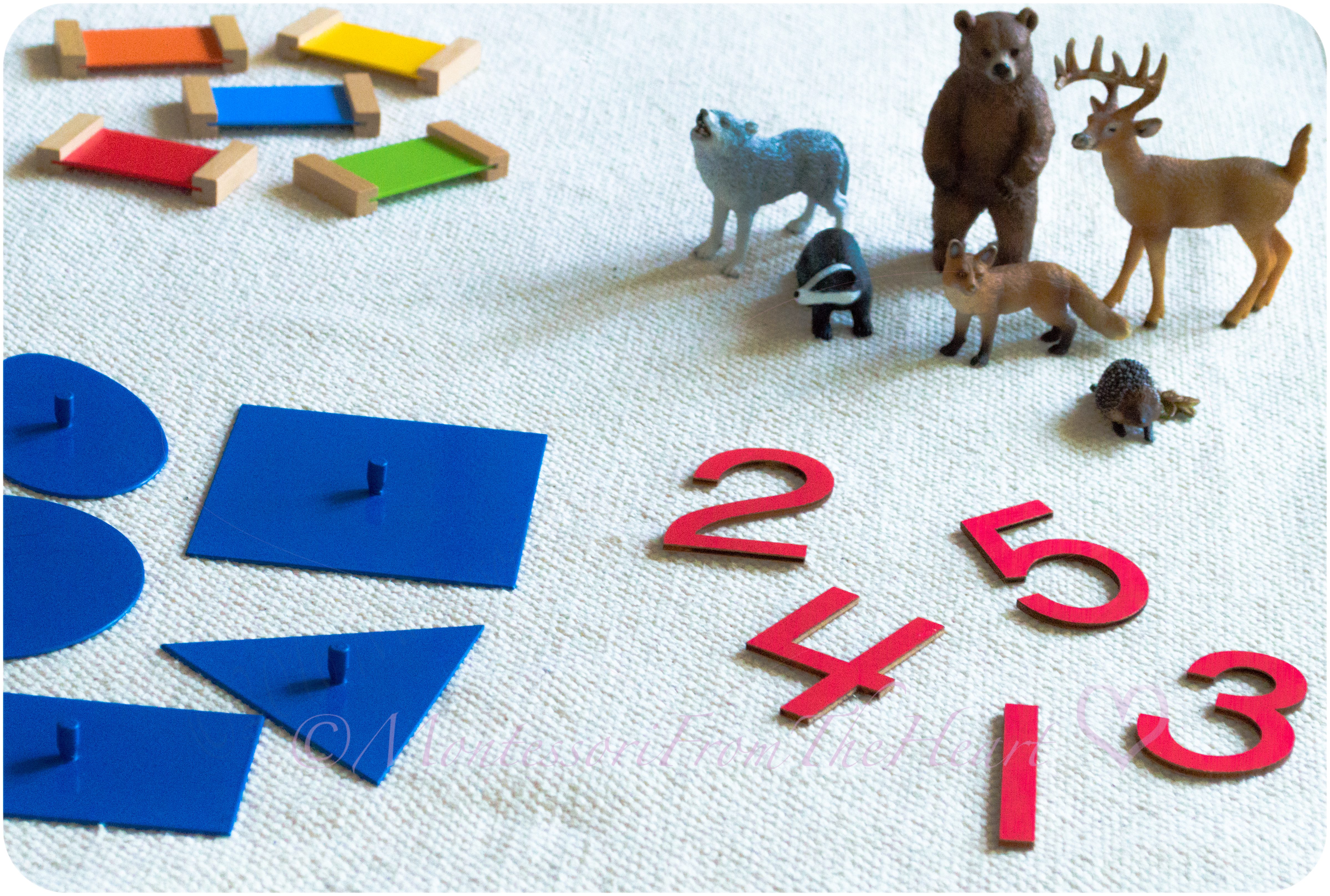 Guess What is Missing? Sensorial Montessori Memory Game | Montessori ...