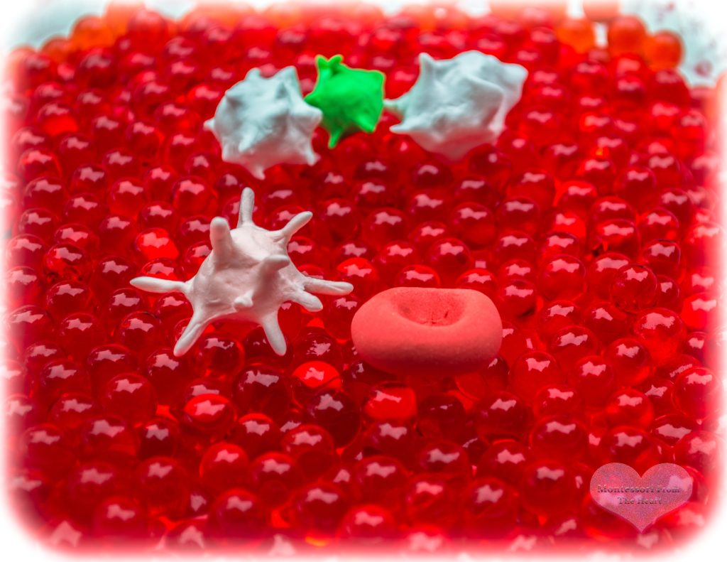 Red Oobleck Goop Kids Blood DIY