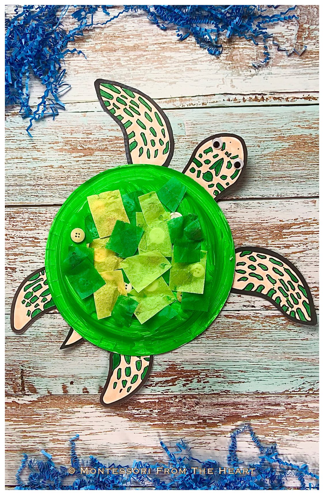 Paper Plate Turtle Crafts | Montessori From The Heart