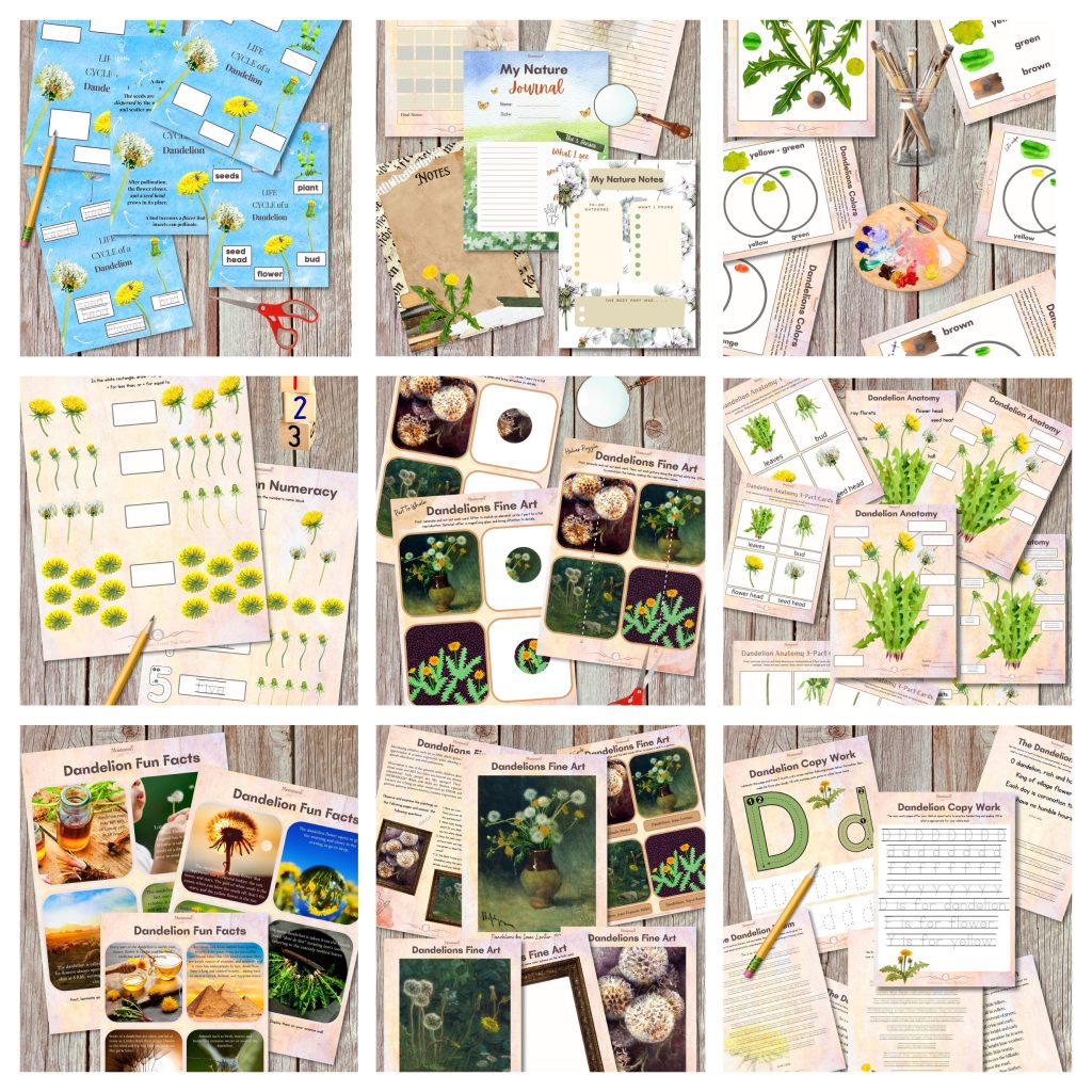 Dandelion Montessori Cultural Study | Montessori From The Heart