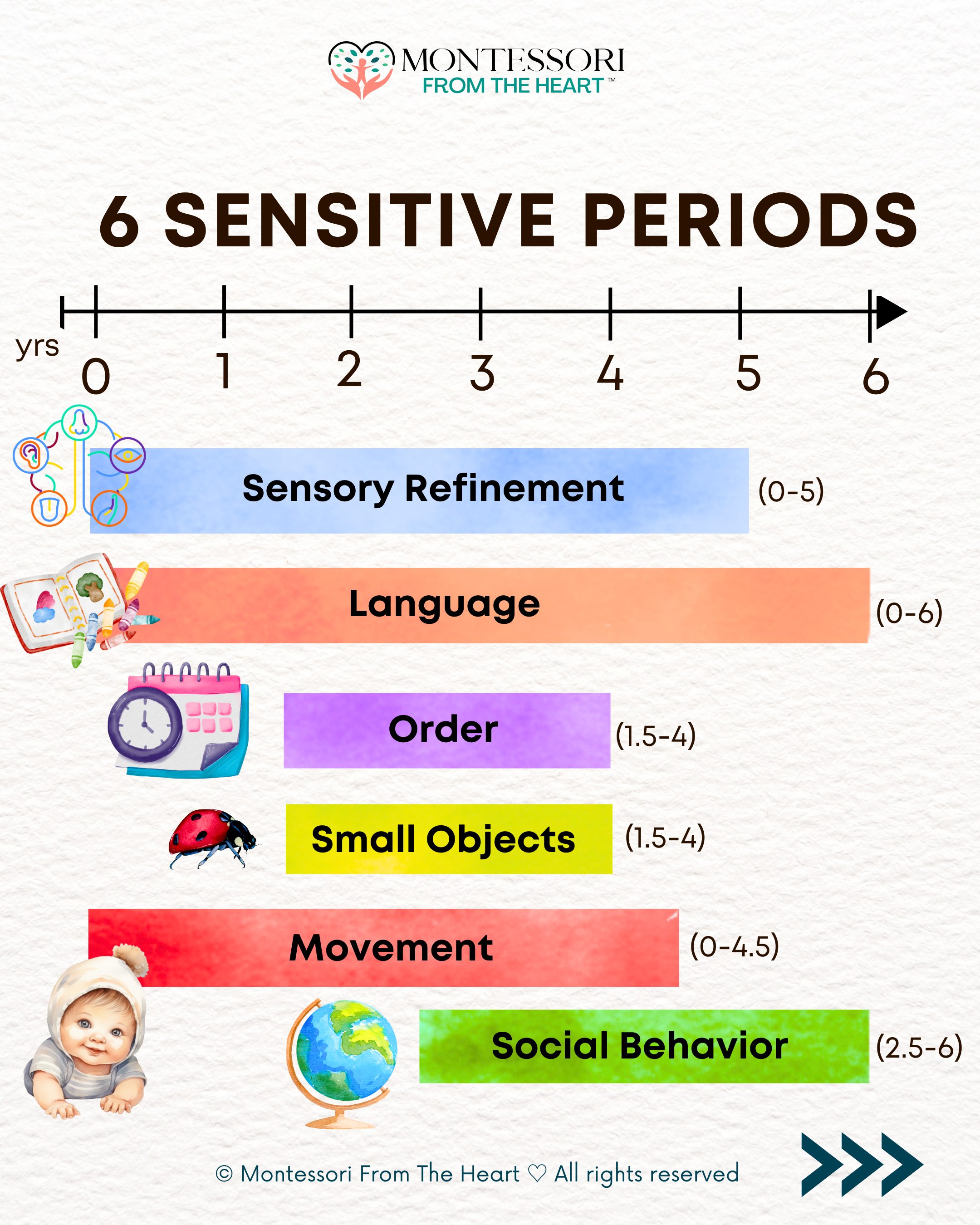 Montessori 6 Sensitive Periods | The Absorbent Mind | Montessori From ...
