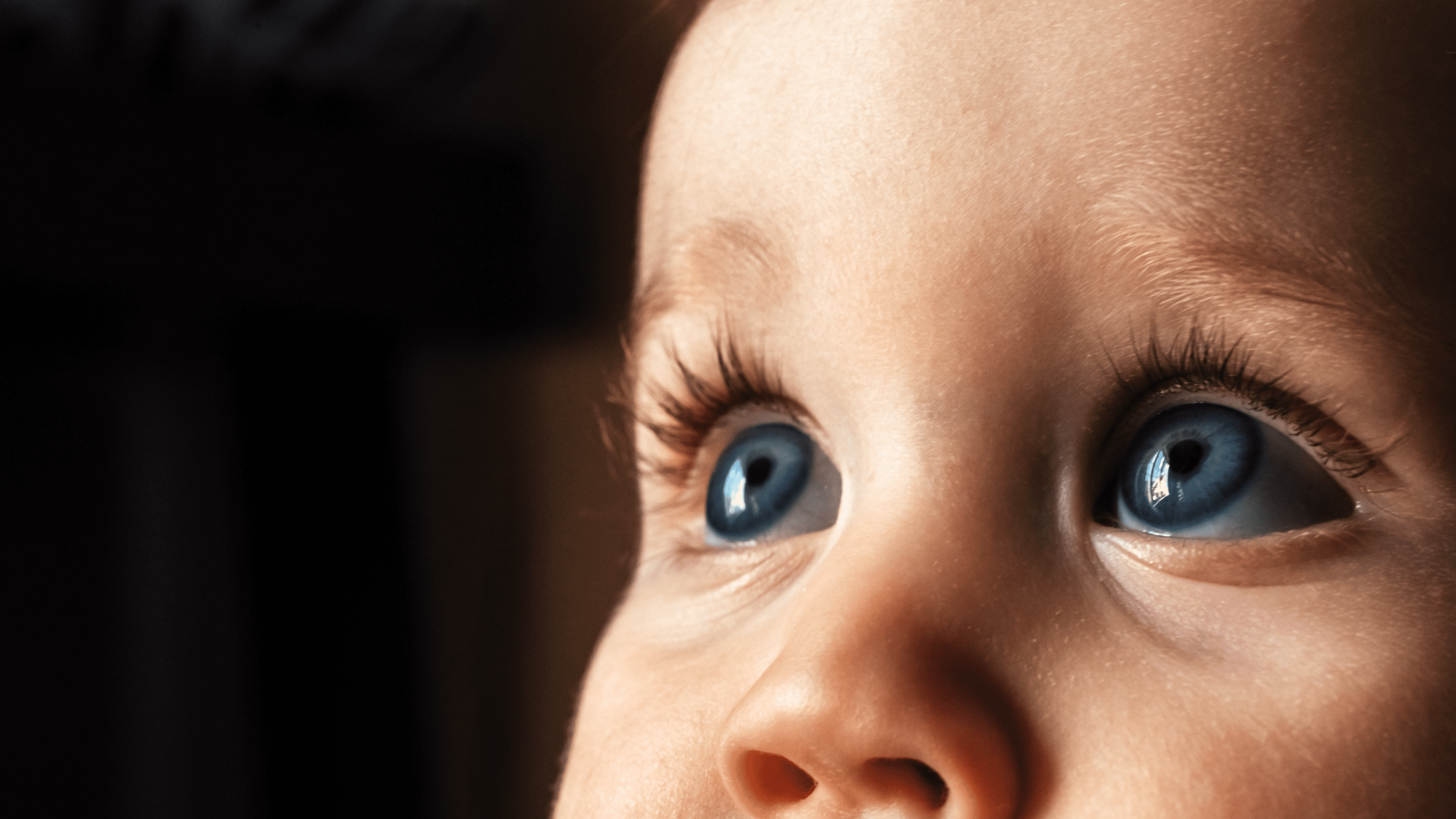 The First Six Years: What Really Shapes Your Child's Development ...
