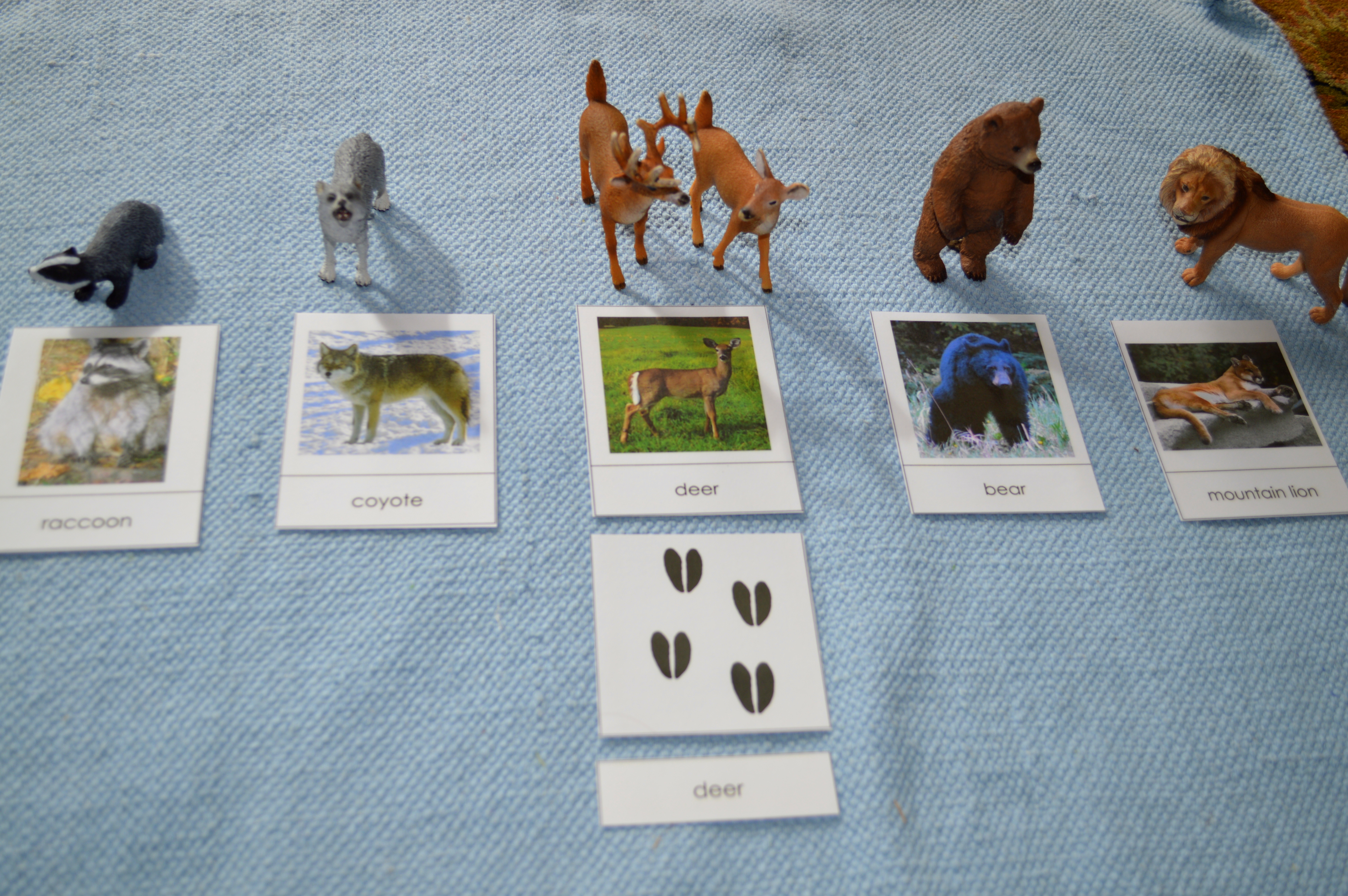 DIY Montessori Matching 3 Part Cards