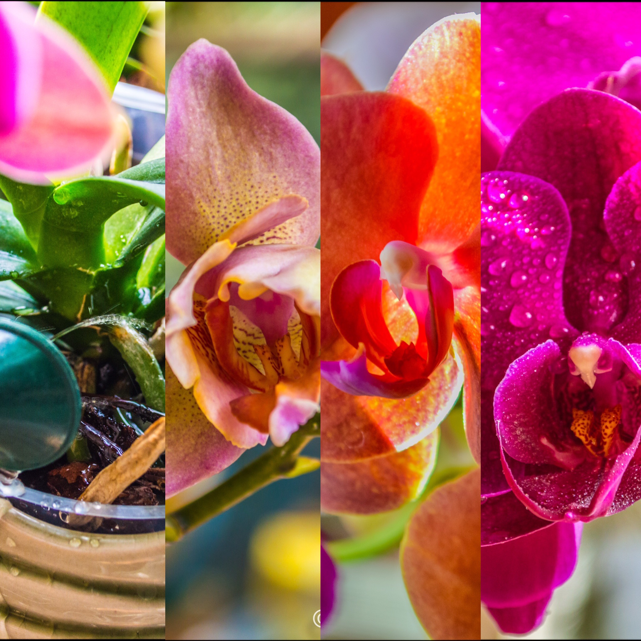 Spring Montessori Kids Activities | Montessori From The Heart